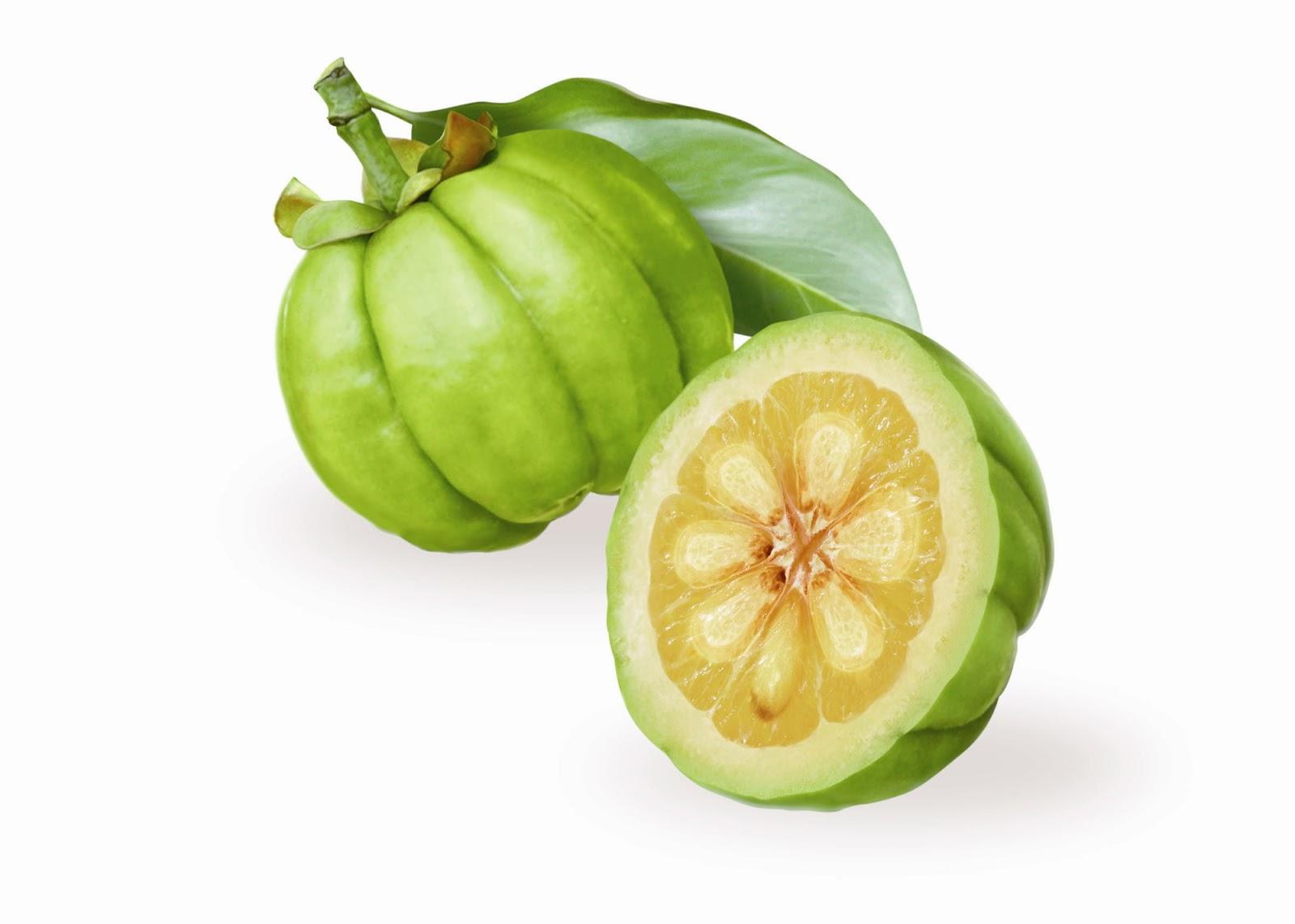 Weight Loss as a side-benefit with Garcinia and Probiotics! • Shaka ...