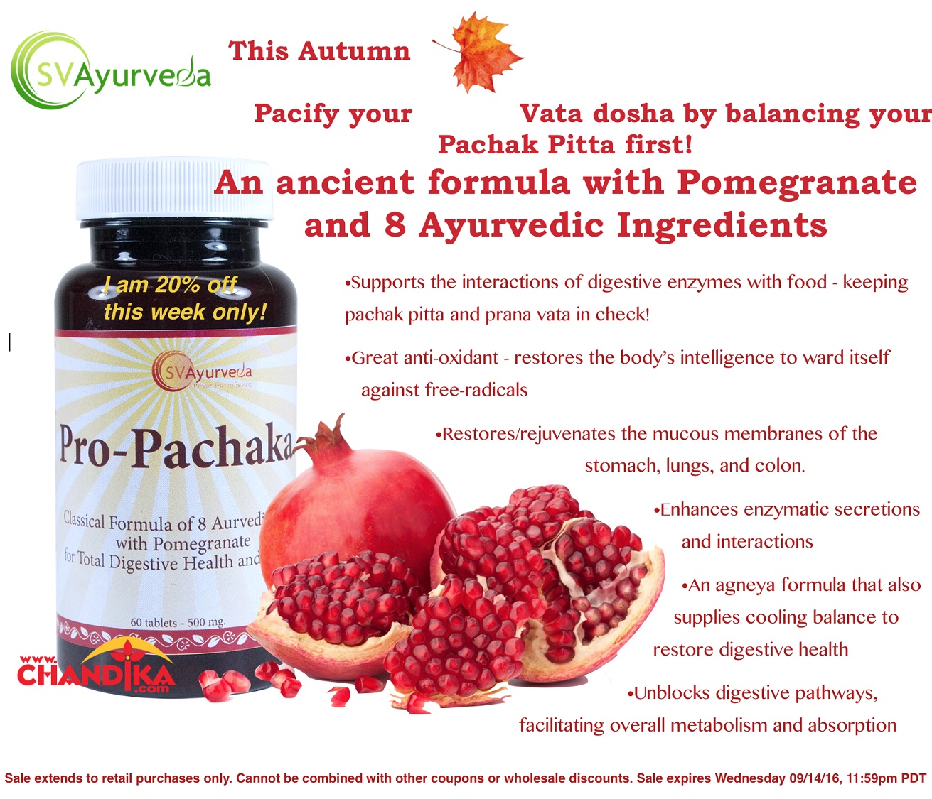 This Autumn Pacify your Vata Dosha by Balancing your Pachak Pitta First ...
