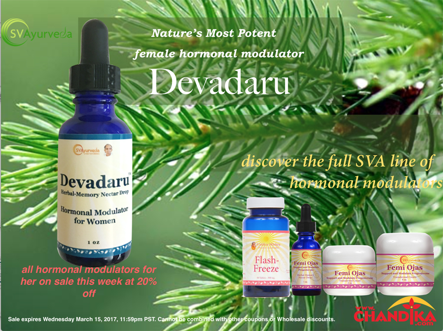 Devadaru - Nature's Best Hormonal Modulator For Her • Shaka Vansiya ...