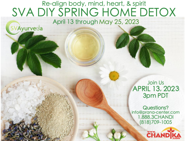 Spring Detox 2023pic - Shaka Vansiya Ayurveda